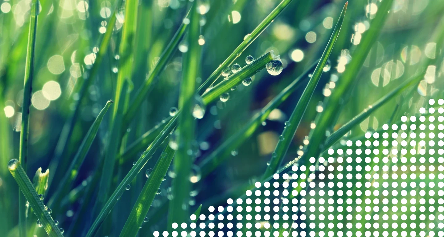 Servizi Dipartimento natura - Itur